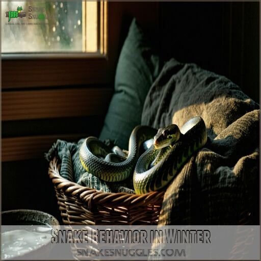 Do Snakes Hibernate in Houses? Here’s What You Should Know