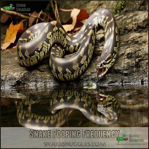 How Do Snakes Poop? Facts, Tips & Secret Details You Never Knew! (2025 ...