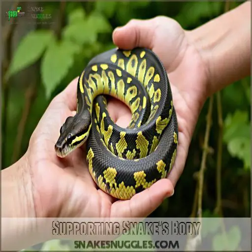 How to Safely Pick Up Pet Snake: Expert Tips for Beginners