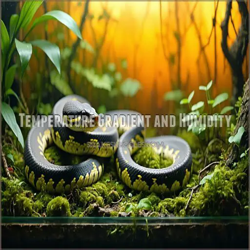 Ball Python Habitat Tips: 10 Expert Secrets for The Perfect Snake Setup ...