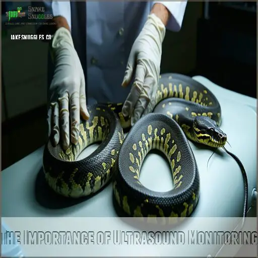 Do Boa Constrictors Lay Eggs? The Truth About These Amazing Snakes