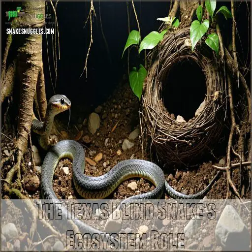 Snakes That Look Like Worms: Facts, Behavior, and Why They Fascinate