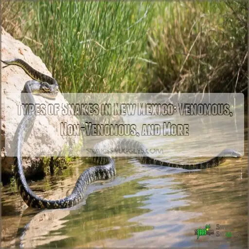 Types of Snakes in New Mexico: Venomous, Non-Venomous, and More