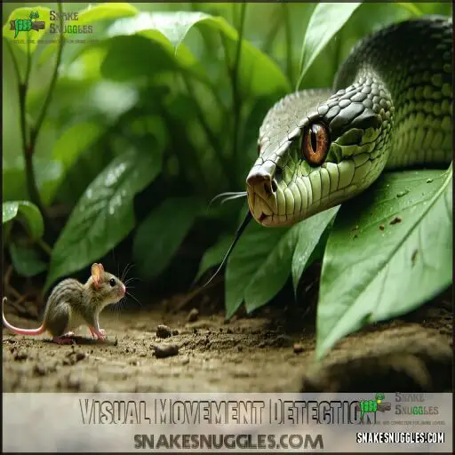 How Do Snakes Detect Prey? 5 Powerful Senses That Make Them Deadly