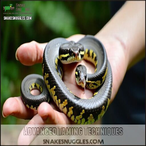 How to Tame a Ball Python: Easy Tips for a Gentle and Friendly Snake