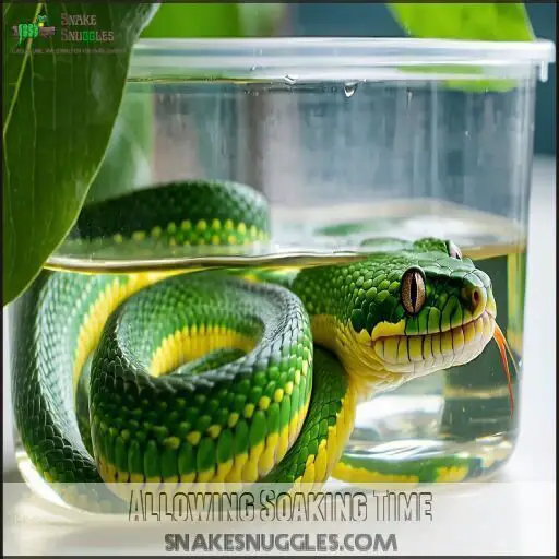 How to Bathe a Snake: Easy Steps Every Reptile Owner Should Know