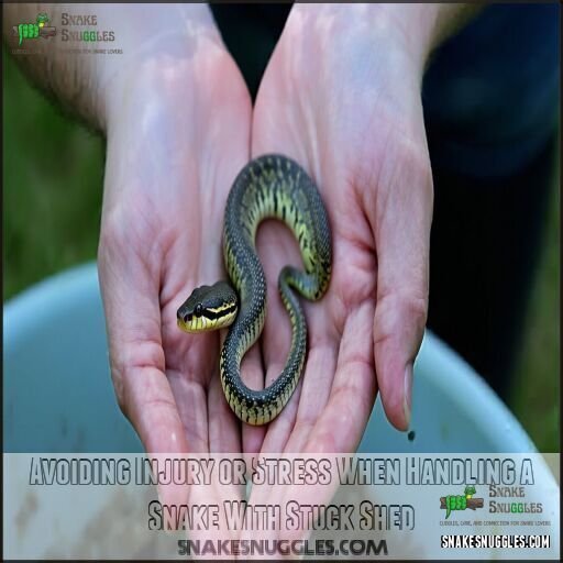 Handling a Snake With Stuck Shed: Tips to Safely Help Your Reptile