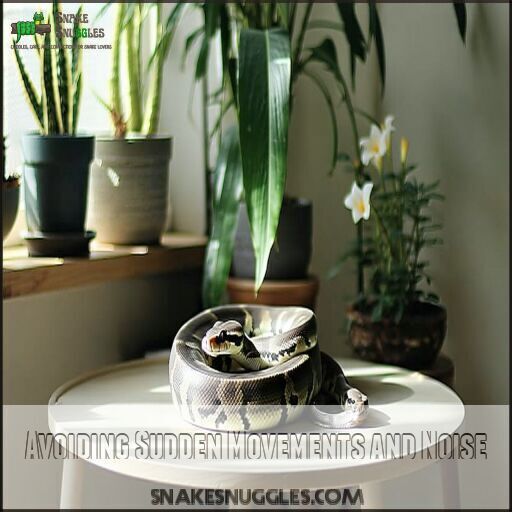 How to Tame a Ball Python: Easy Tips for a Gentle and Friendly Snake