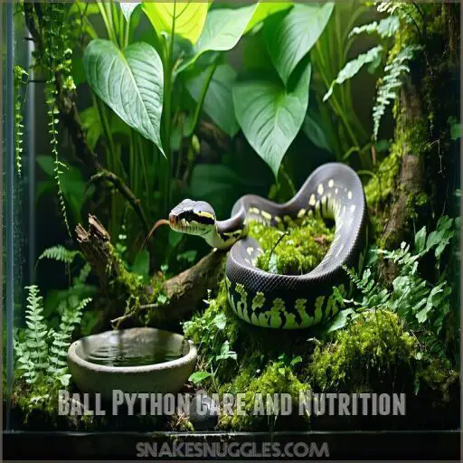 How to Tame a Ball Python: Easy Tips for a Gentle and Friendly Snake