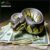 How Much is a Ball Python? 2025 Price Guide (You Won't Believe 3!)