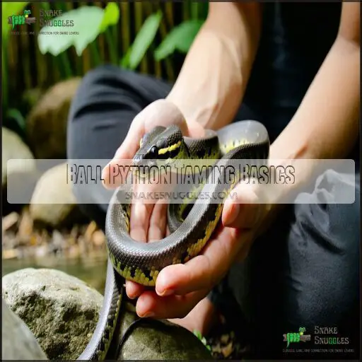 How to Tame a Ball Python: Easy Tips for a Gentle and Friendly Snake