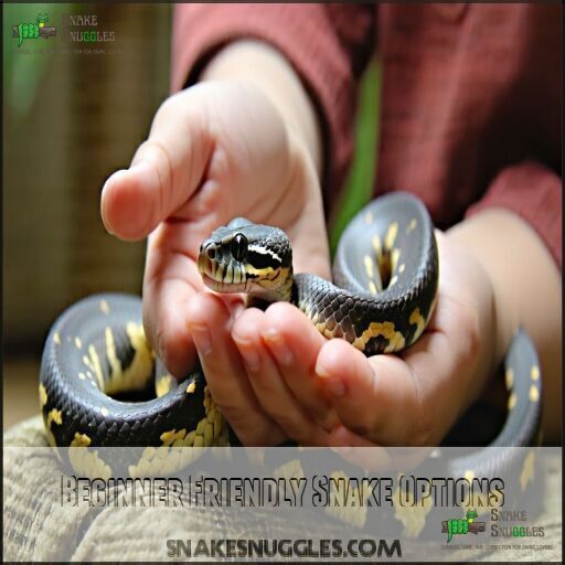 Friendly Snake Breeds for Families: 7 Gentle Reptiles Kids Will Love