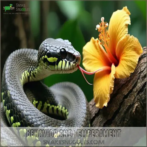 Corn Snake Natural Habitat and Care: Setup, Feeding, and Key Tips