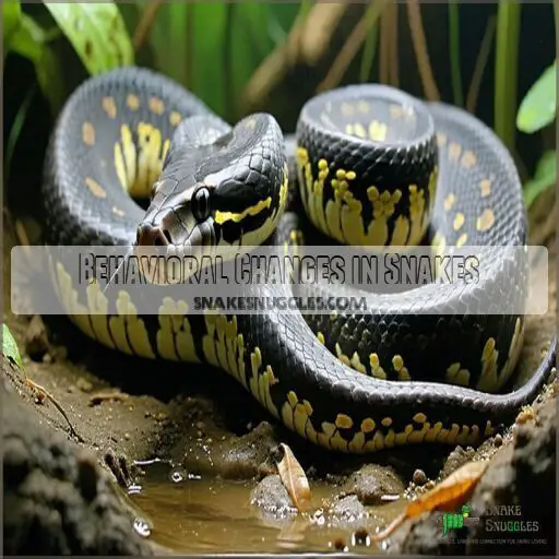 Snake Mites Treatment Home Remedies: Effective Ways to Eliminate Mites