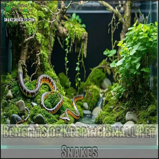 Smallest Pet Snakes: Tiny Reptiles Perfect for First-Time Owners!