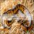 Best Substrate for Corn Snakes: Top 8 Bedding Picks for 2025