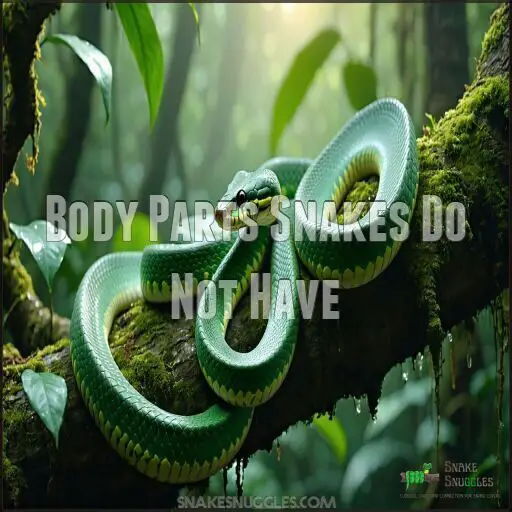 Do Snakes Have Hips? Surprising Facts About Their Evolution