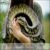 Burmese Python Care Sheet: Secrets of Massive Snake Success!