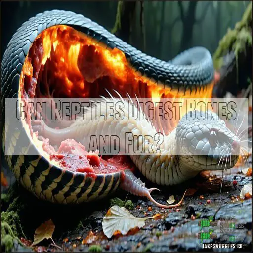 How Do Snakes Digest Bones and Fur? Fascinating Truth Explained