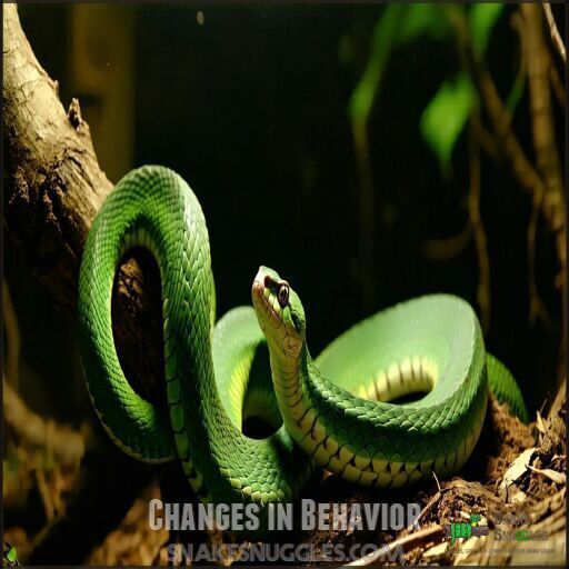 How to Bathe a Snake: Easy Steps Every Reptile Owner Should Know