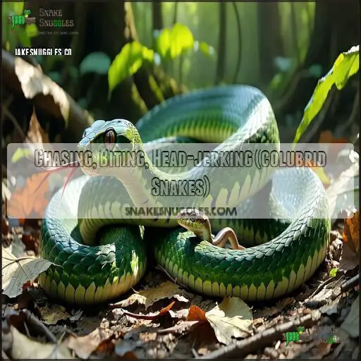 How Do Snakes Mate? Mating Balls, Rituals, and Reproduction Explained