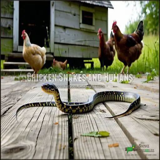 What is a Chicken Snake? The Surprising Truth About These Unique Snakes