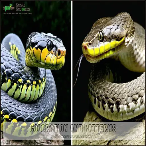 How to Tell The Gender of a Snake: 7 Foolproof Methods That Work!