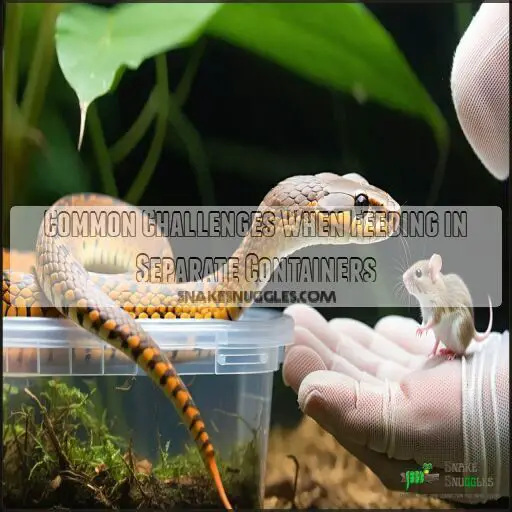 Feed a Snake in a Separate Container: Top 5 Pro Secrets!