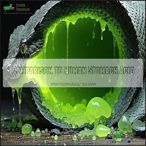 How Do Snakes Digest Bones and Fur? Fascinating Truth Explained