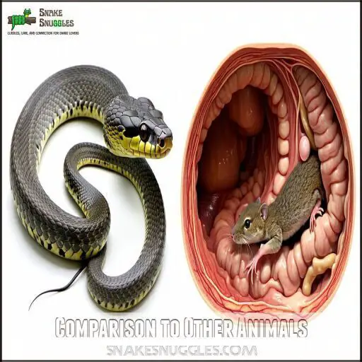 How Do Snakes Digest Bones and Fur? Fascinating Truth Explained