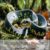 What is a Chicken Snake? The Surprising Truth About These Unique Snakes