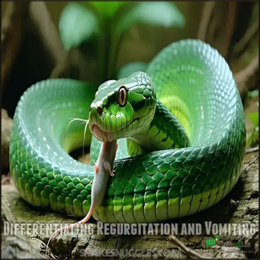 Snake Regurgitation Causes and Prevention: Tips to Keep Your Snake Healthy
