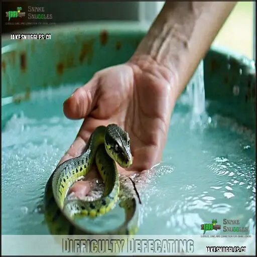 How to Bathe a Snake: Easy Steps Every Reptile Owner Should Know