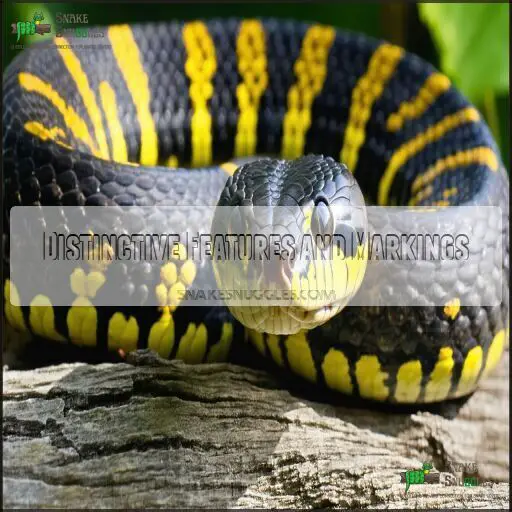 What is a Chicken Snake? The Surprising Truth About These Unique Snakes