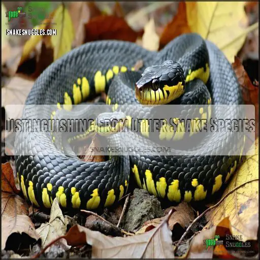 What is a Chicken Snake? The Surprising Truth About These Unique Snakes