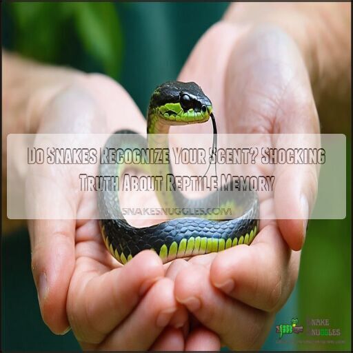 Do Snakes Recognize Your Scent? Shocking Truth About Reptile Memory