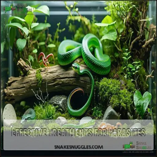 Safe Medications for Snakes: Dosage Guide for Treatment and Care