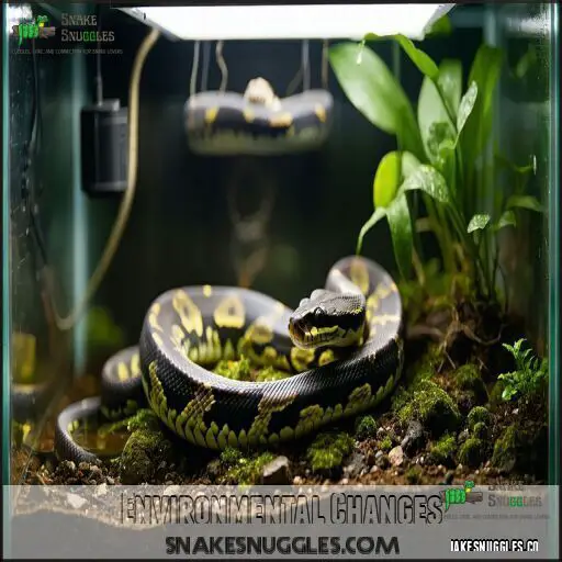 Ball Python Not Eating? 10 Surprising Reasons & Quick Solutions Revealed!