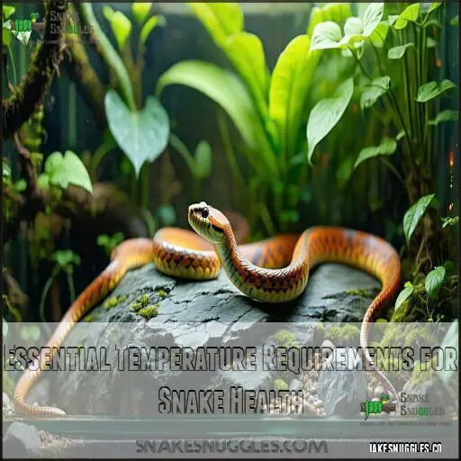Keep Snake Warm in Cold House: 9 Lifesaving Heating Hacks!