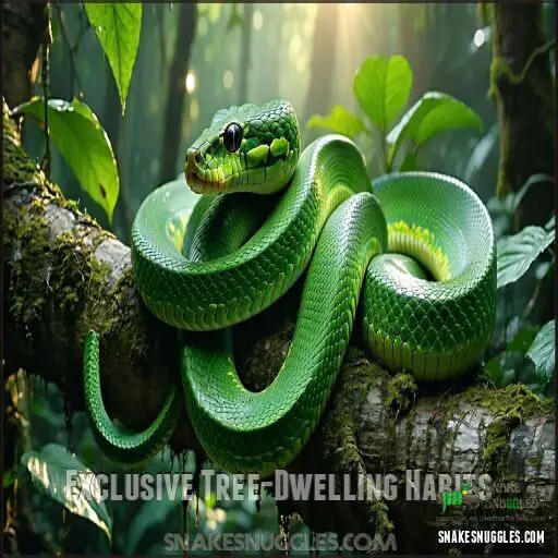 How Do Green Tree Pythons Survive Nature's Most Brutal Attacks?