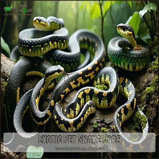 9 Unique Looking Pet Snake Species That Will Blow Your Mind!