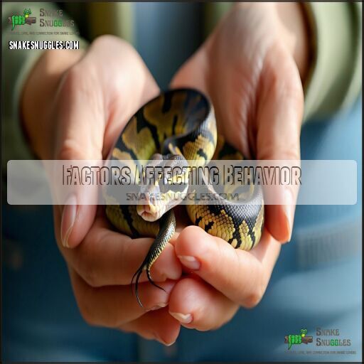 Ball Python Temperament and Behavior: 7 Secrets to a Docile Snake