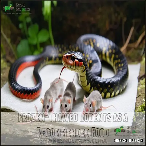 What Do Milk Snakes Eat? 7 Surprising Prey Items You Never Knew About!