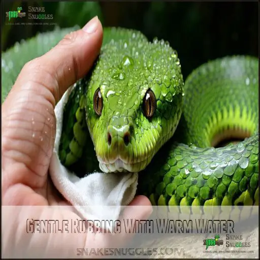 Snakes Eye Caps Won't Come Off? Tips to Help Your Snake Shed Safely