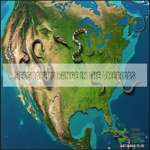 Rattlesnake Facts: Habitat, Diet, Venom, and Surprising Traits