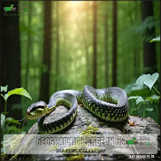 Species Profile: Timber Rattlesnake - 10 Shocking Facts & Stunning Pictures