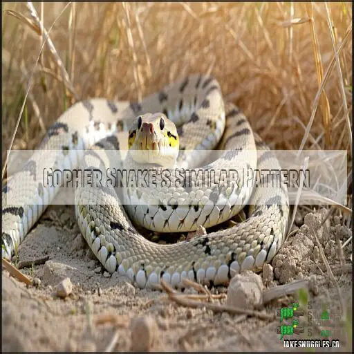 Rattlesnake Vs Gopher Snake: Key Differences You Need to Know