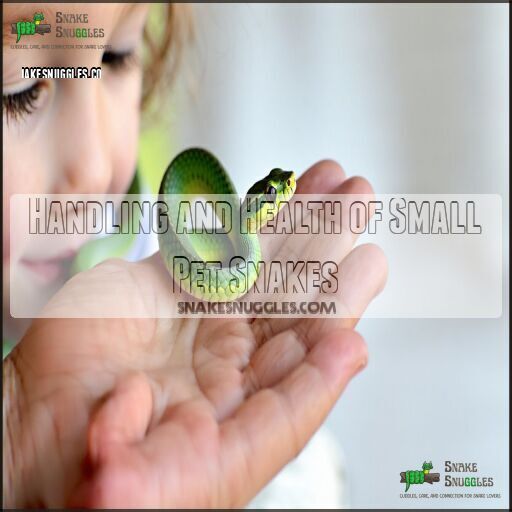 Smallest Pet Snakes: Tiny Reptiles Perfect for First-Time Owners!