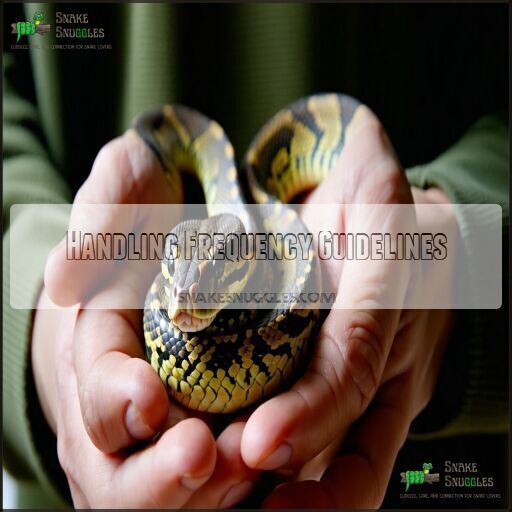 Ball Python Handling Techniques: Safe, Smart Snake Care Strategies