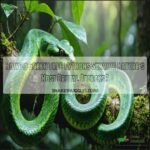 How Do Green Tree Pythons Survive Nature's Most Brutal Attacks?